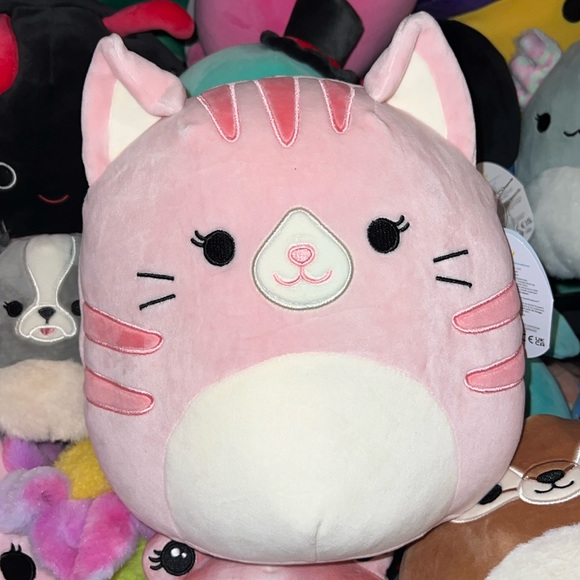 Squishmallows | Toys | Laura The Cat | Poshmark